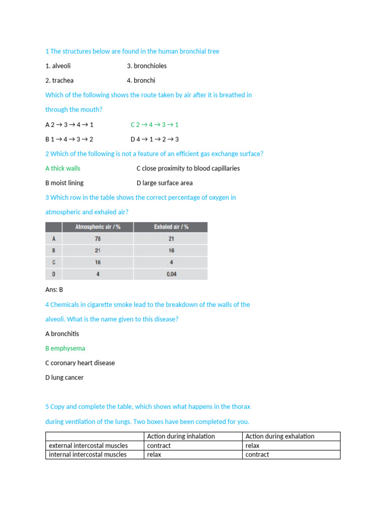 Unit-2 Chapter-3 Breathing and Gas Exchange | PDF | Lung | Breathing