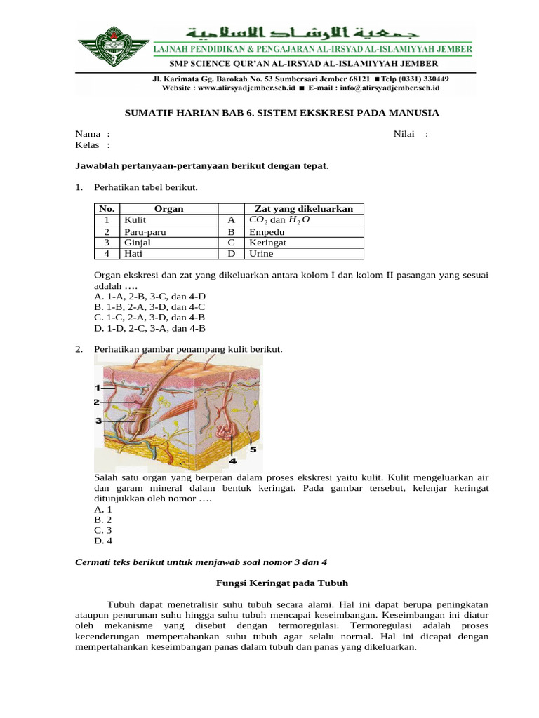 SH Bab 6 Sistem Ekskresi | PDF