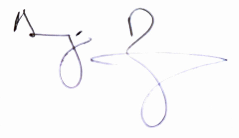 Firma Diego Ramirez | PDF
