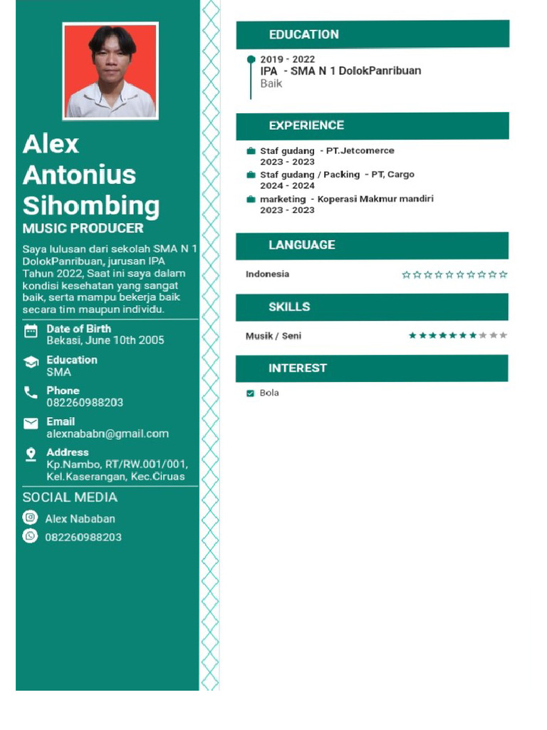 CV. Alex | PDF