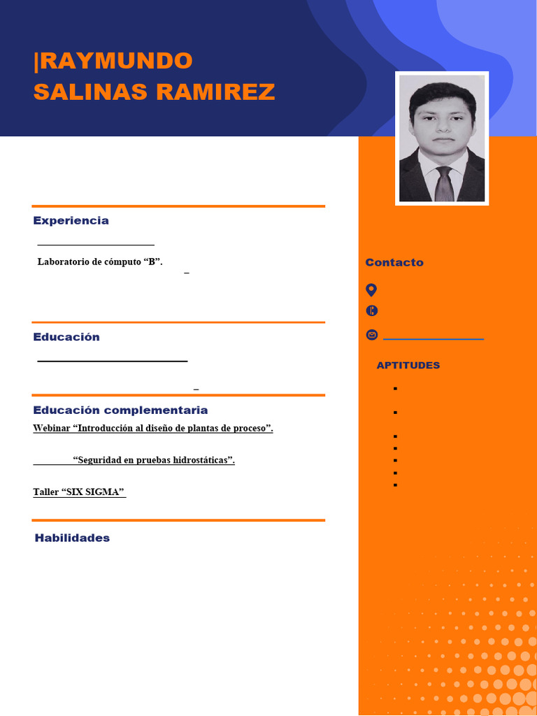 CV-Raymundo Salinas Ramirez | PDF