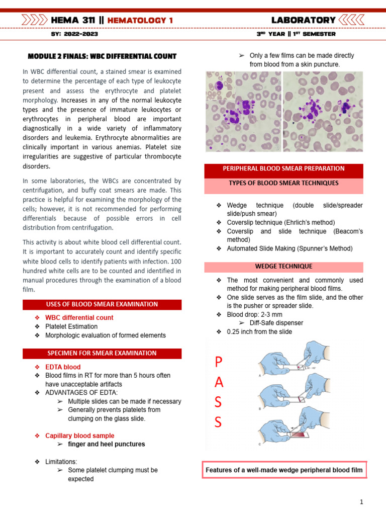 WBC Differential Count | PDF | White Blood Cell | Staining