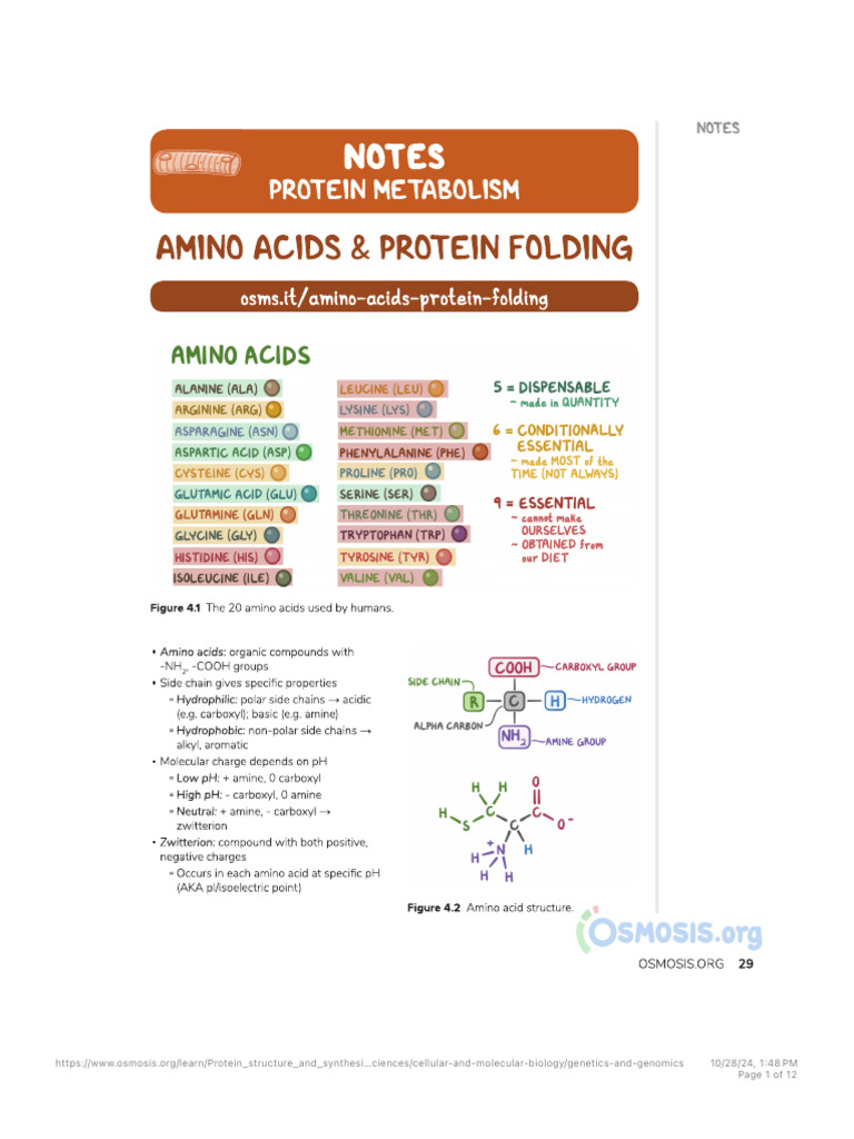Protein Structure and Synthesis - Video, Causes, & Meaning - Osmosis ...