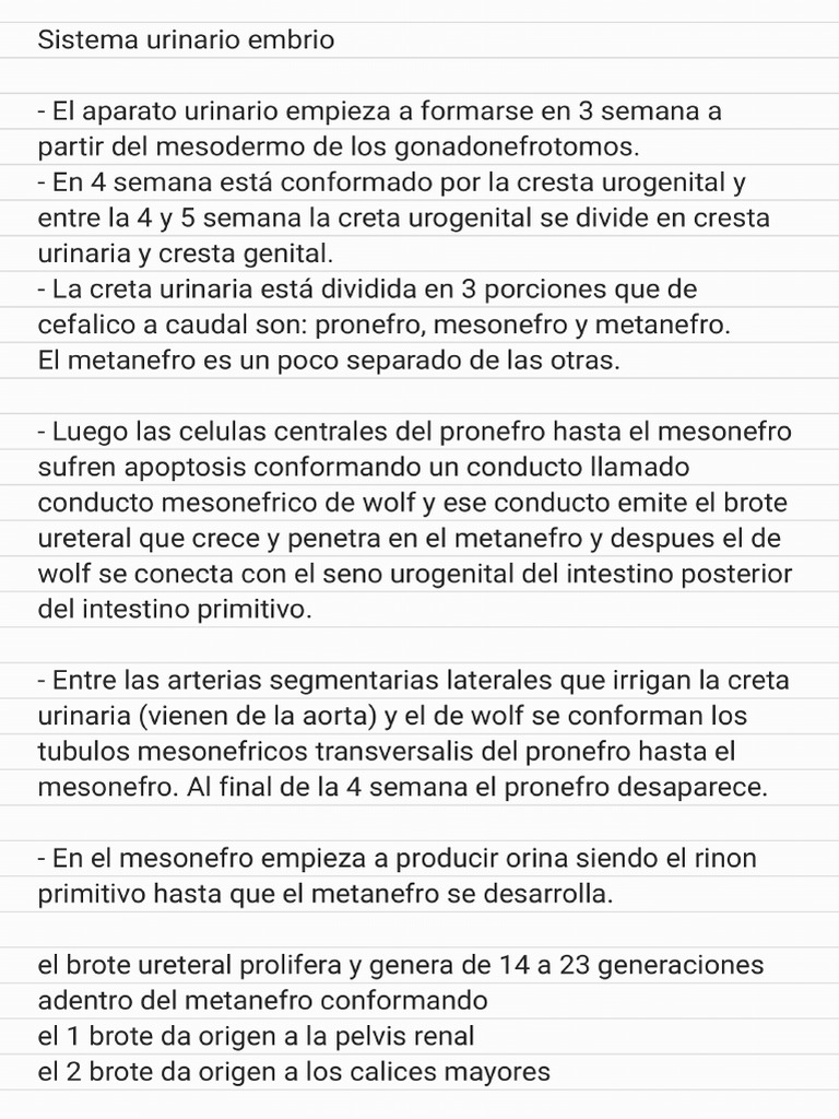 Urinário Embrio | PDF