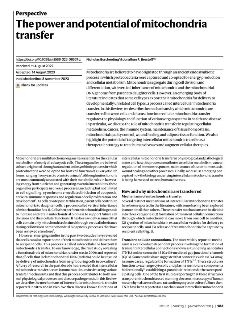 Potential Mitoch Transfer | PDF | Mitochondrion | Macrophage
