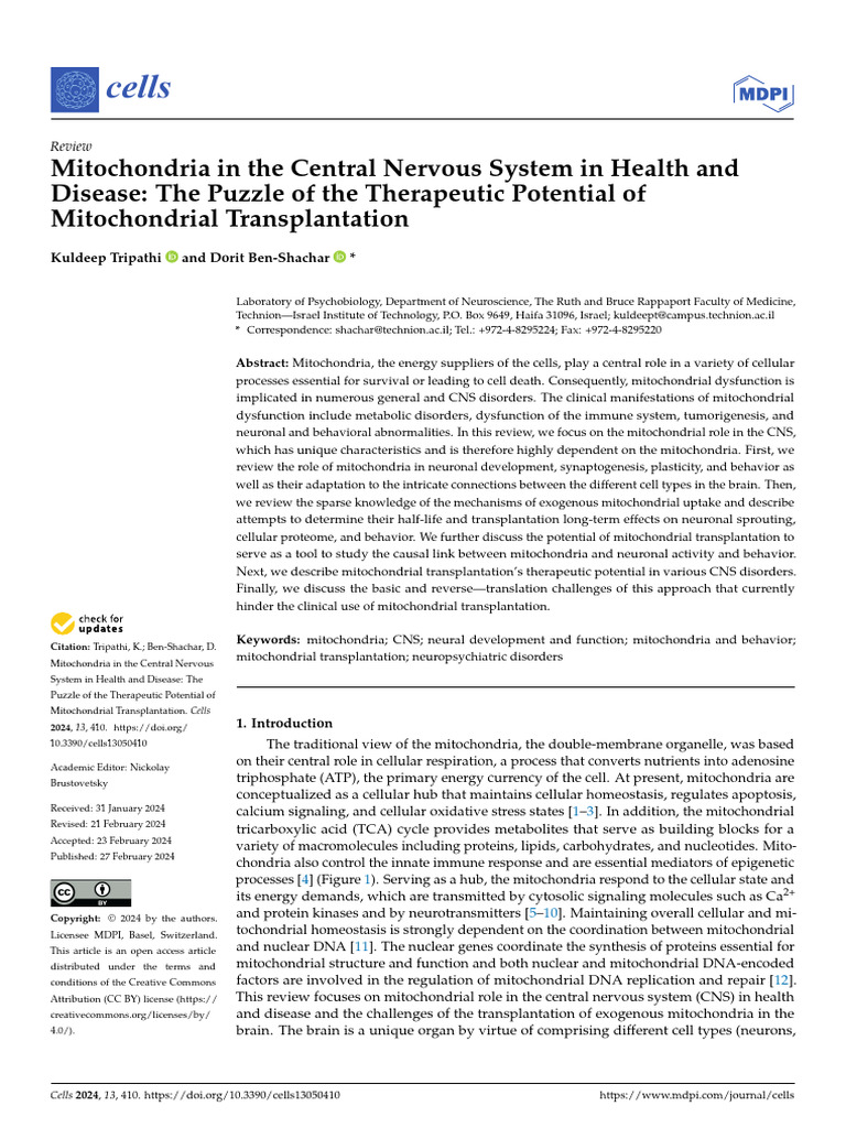 Cells | PDF | Mitochondrion | Neuron