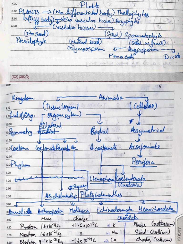 Science Revision | PDF