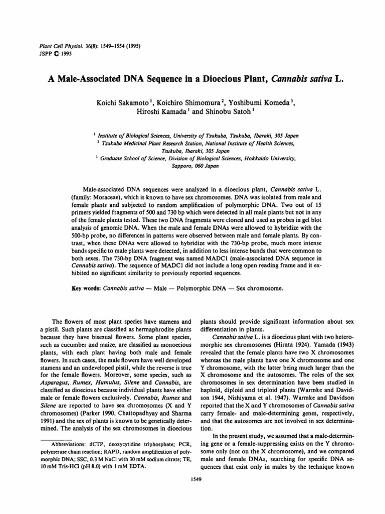 A Male-Associated DNA Sequence in A Dioecious Plant, Cannabis Sativa L ...