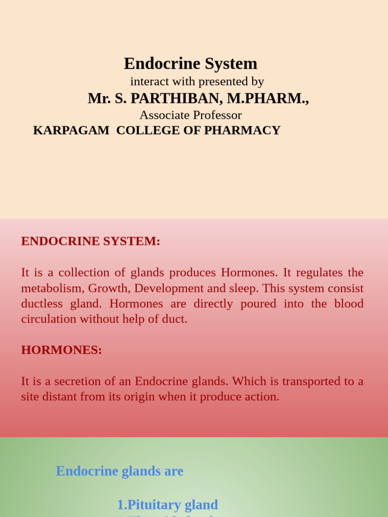 Overview of the Endocrine System | PDF | Adrenal Gland | Pancreas