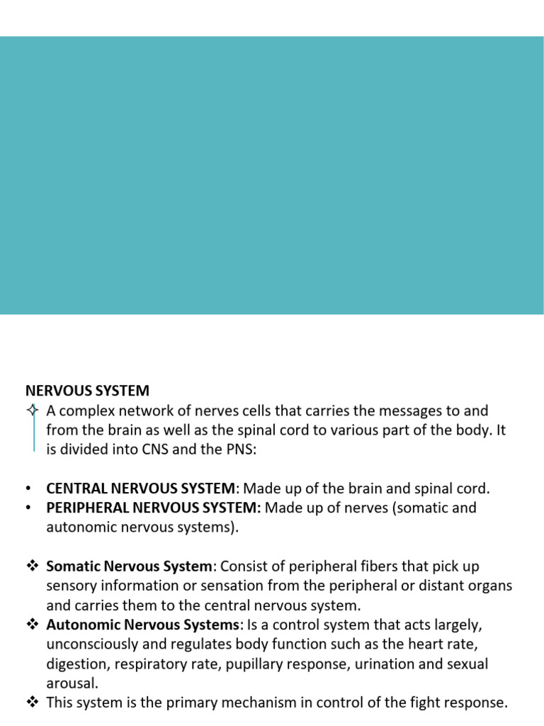 CNS Drugs and Opioid Analgesics Overview | PDF | Opioid | Nervous System