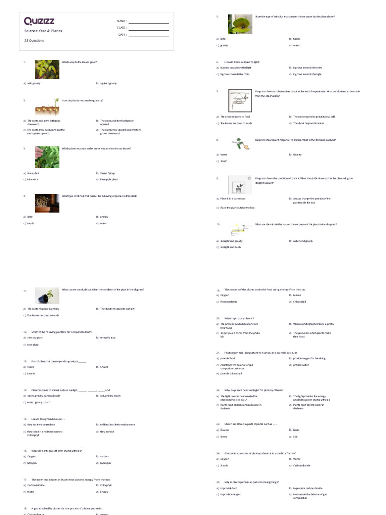 Year 4 Science: Plant Responses Quiz | PDF | Photosynthesis | Plants