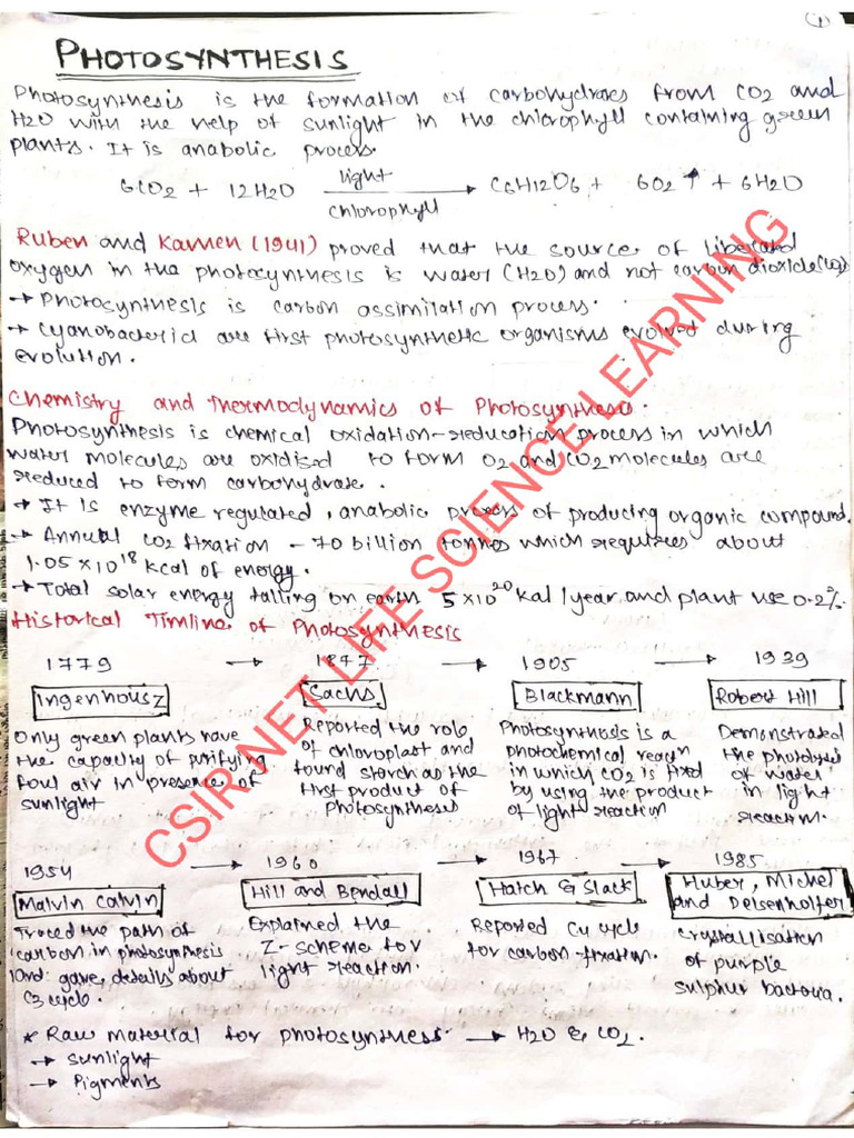 Plant Physiology Handwritten Notes | PDF