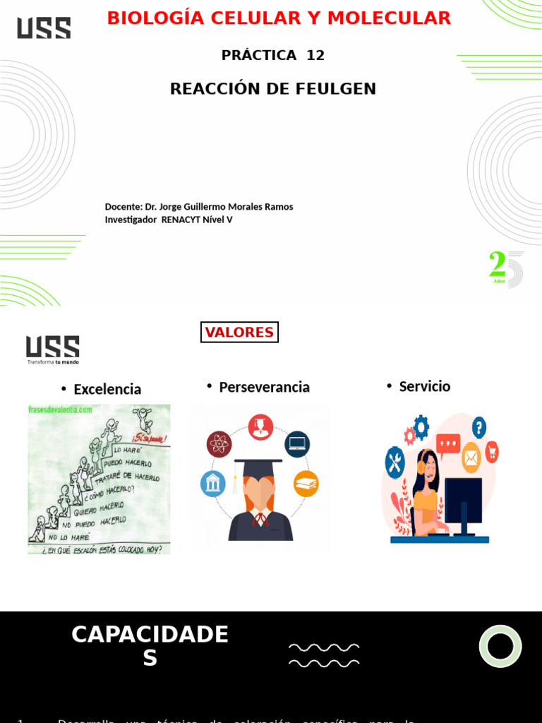 Tinción de Feulgen en ADN | PDF | Tinción | Adn