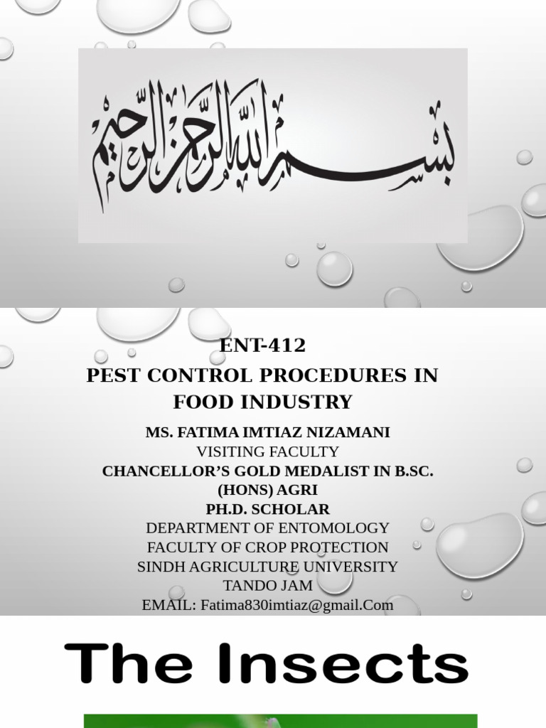 ENT-412 Introduction To Insects | PDF | Insects | Invertebrate