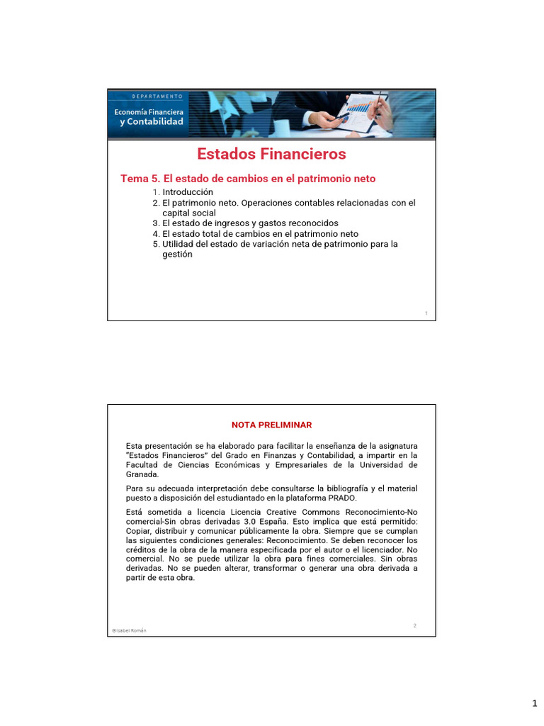 Tema 5 - EEFF - IRM - Estado de Cambios Patrimonio Neto | PDF | Valor neto | Dividendo