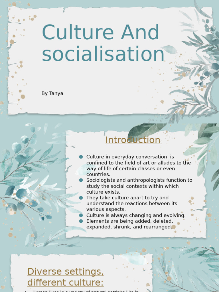 Culture and Socialisation | PDF | Socialization | Society