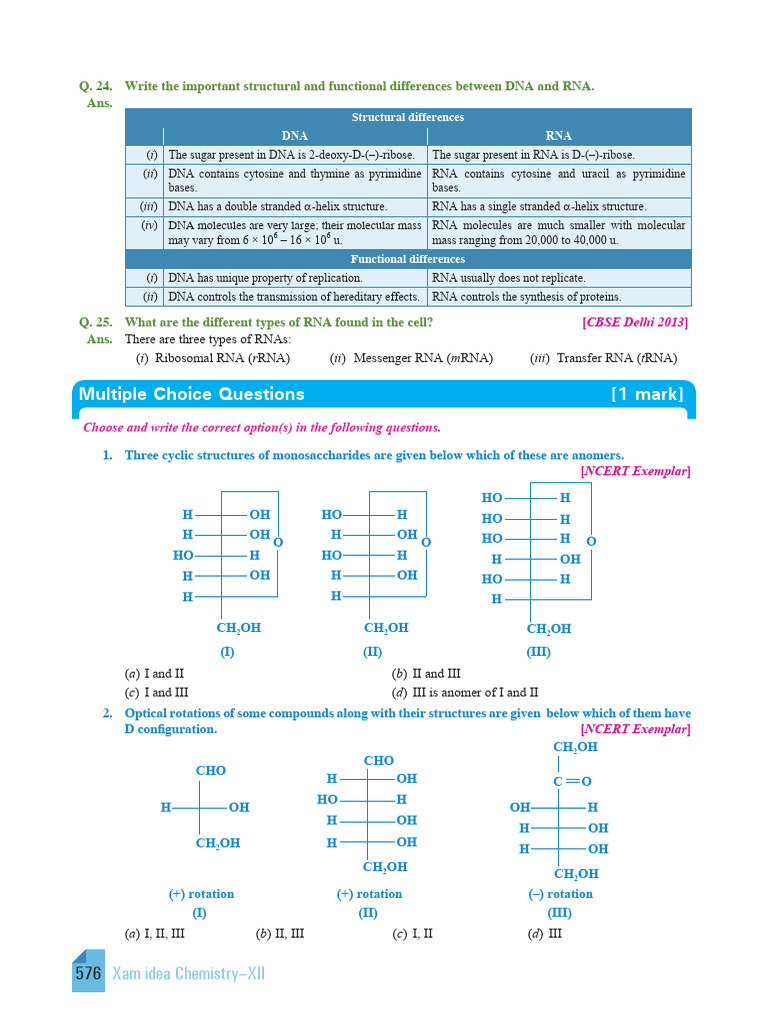 Chemistry Key Points, Q. Bank CH-14 | PDF | Carbohydrates | Rna