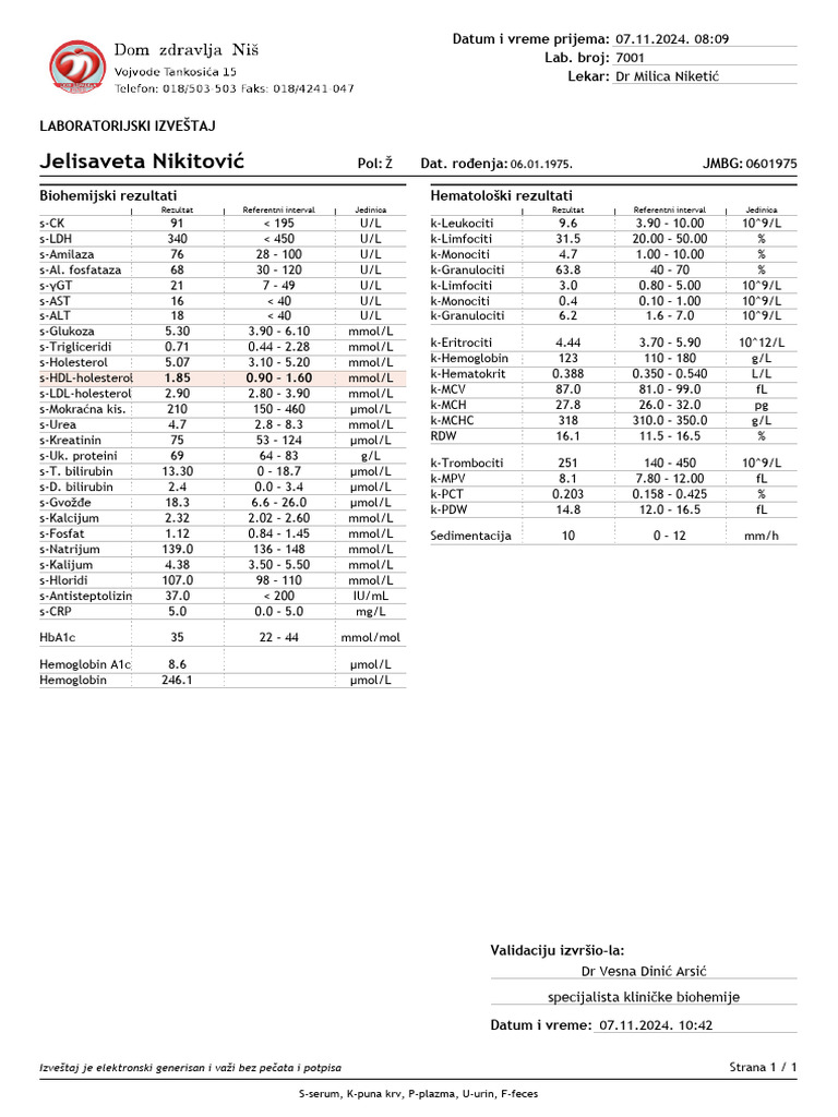 Lab - Izvestaj 241107 7001 | PDF