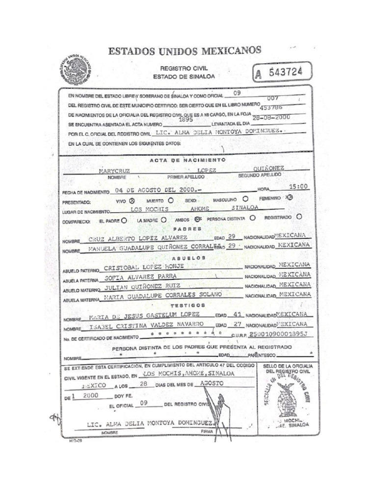 Glute Guideby Mady | PDF