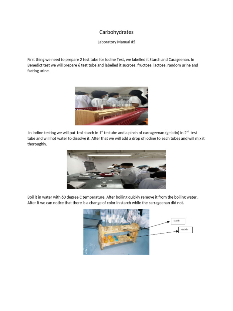 Carbohydrates Summary Experiment | PDF | Fructose | Sucrose