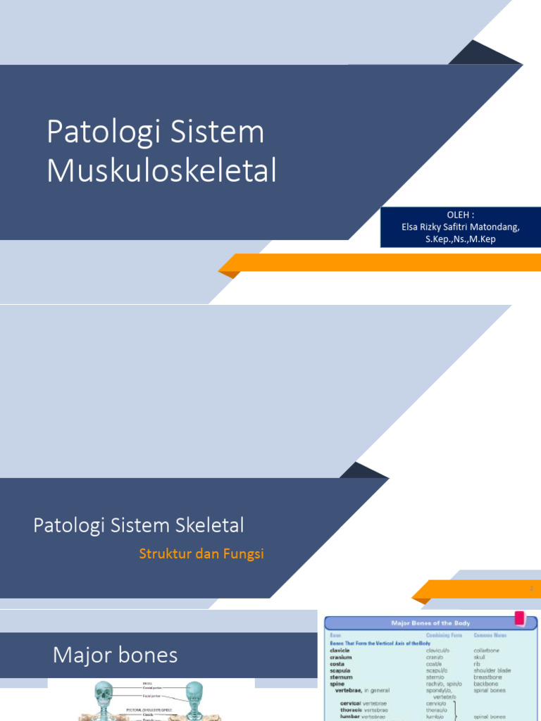 Patologi Sistem Muskuloskeletal: Gejala dan Penyakit | PDF