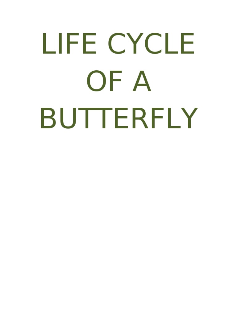 Life Cycle of A Butterfly | PDF | Pupa | Butterfly