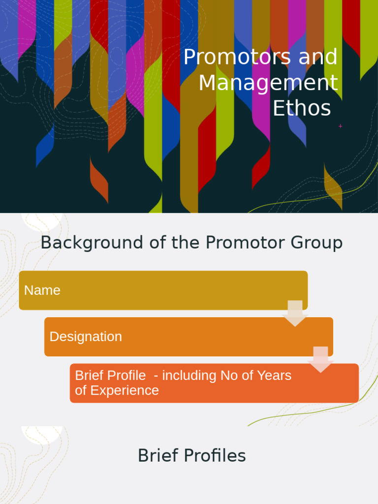 Promotors and Management Ethos | PDF