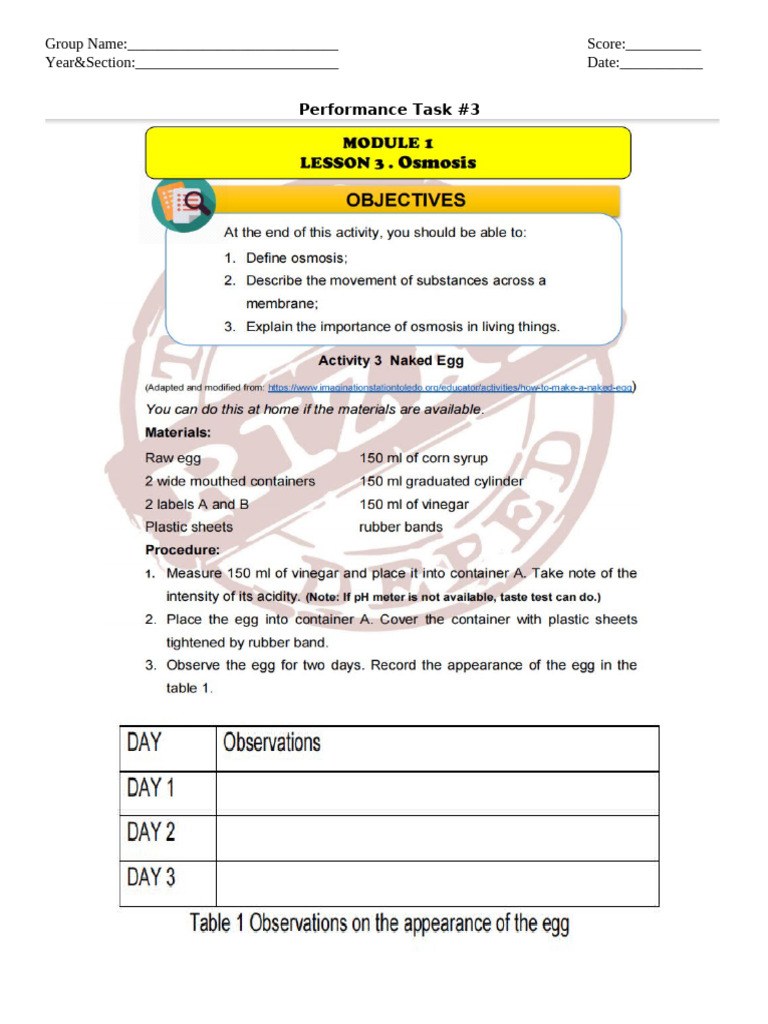Performance Task 3 Osmosis | PDF