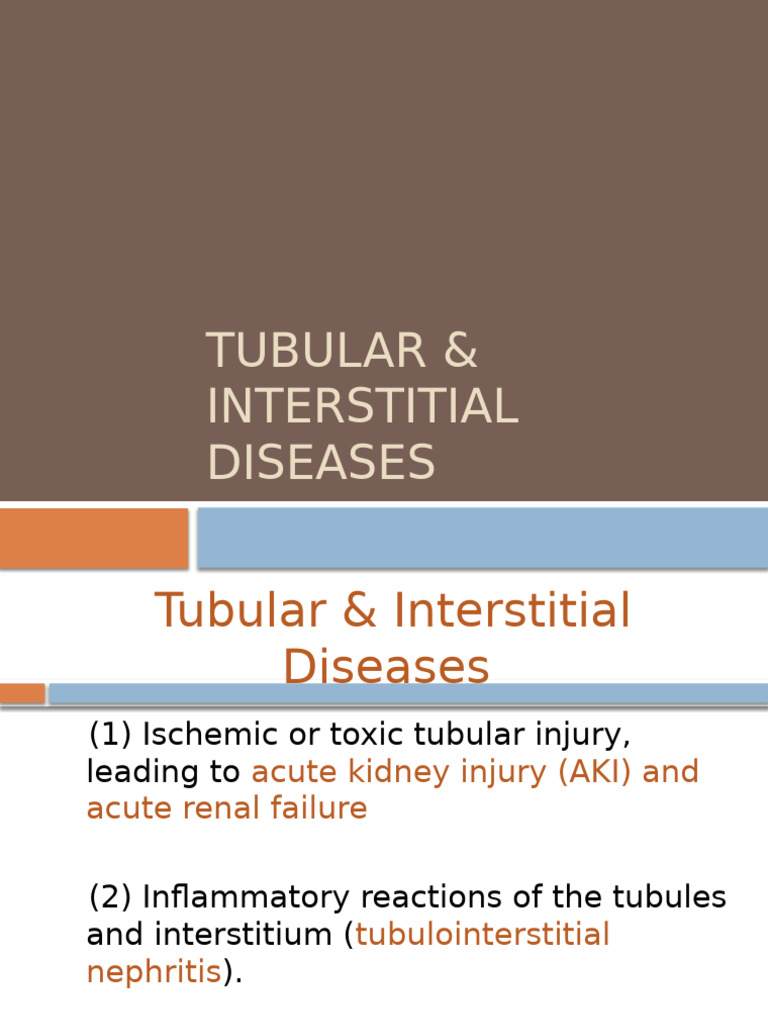 Tubular and Interstitial Kidney Diseases | PDF | Kidney | Diseases And ...