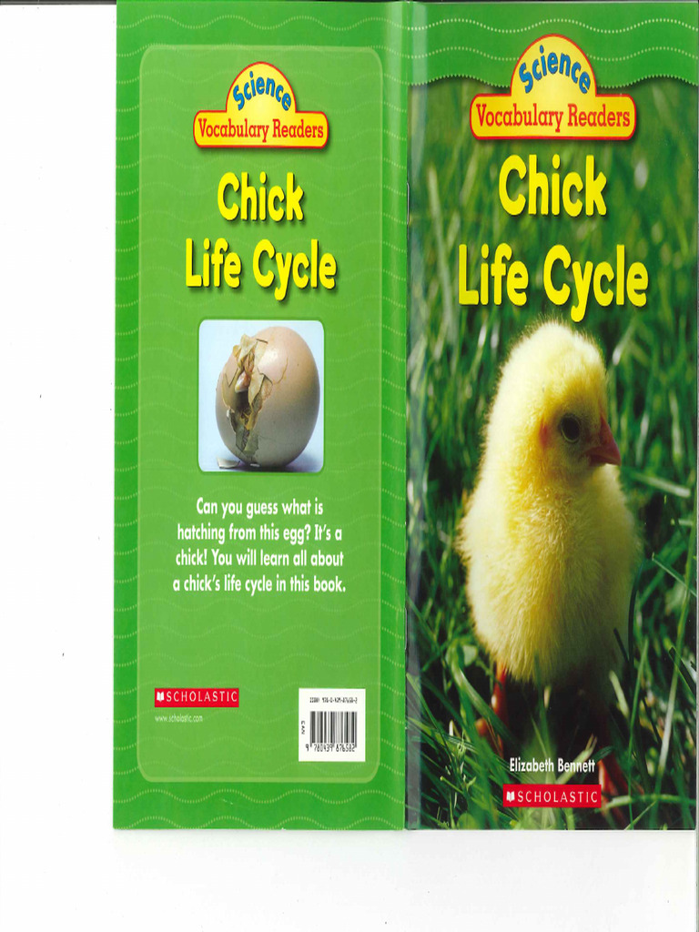 Chick Life Cycle | PDF