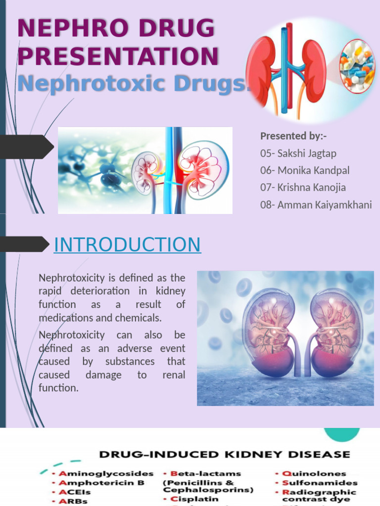 Nephro Drug Presentation | PDF