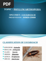Reproductive System of Cockroach | PDF | Sex Organ | Insects