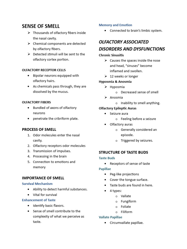 Sense of Smell notes | PDF | Taste | Senses