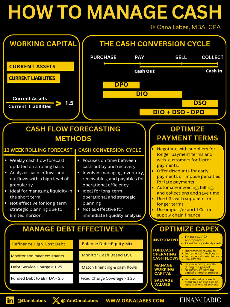 How To Manage Cash - Oana Labes, MBA, CPA | PDF | Working Capital ...