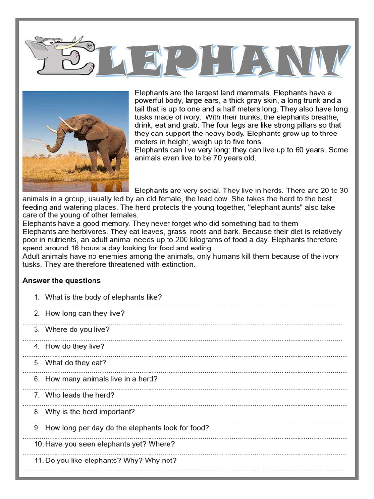 Elephant Facts and Social Behavior | PDF | Elephant | Mammals