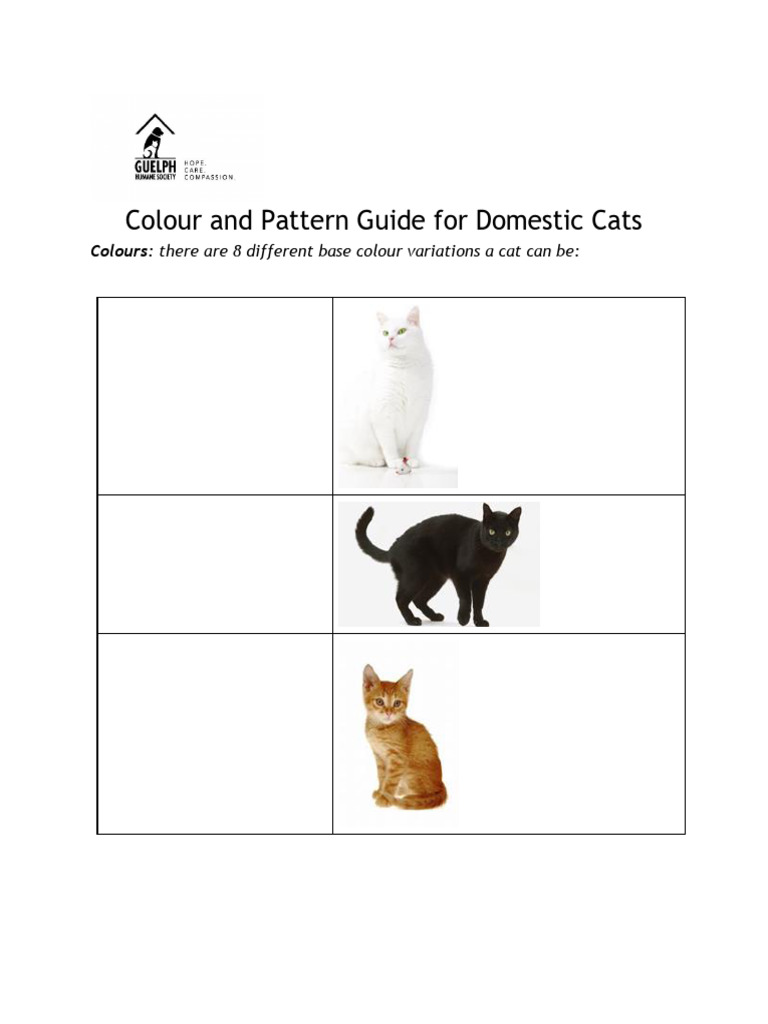 Colour and Pattern Guide For Domestic Cats 1 | PDF | Color | Cats