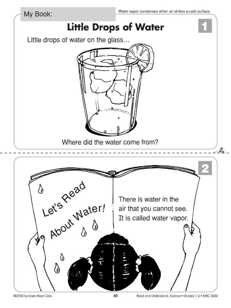Read and Understand Science, Grades 1-2-13 | PDF
