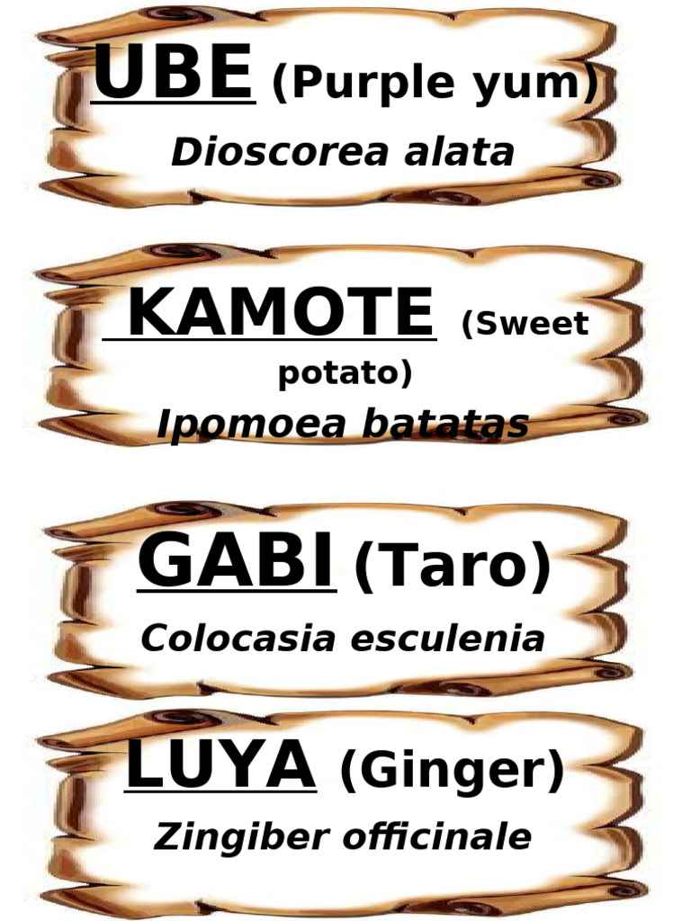 Philippine Root Crops and Their Names | PDF