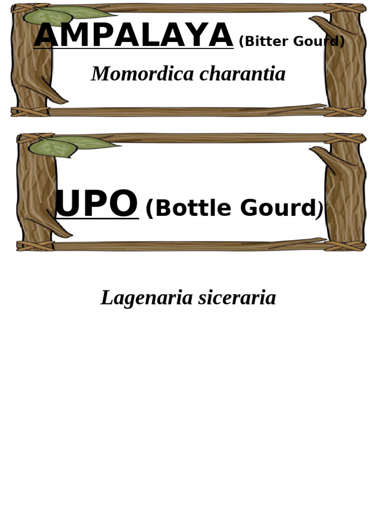 Vines | PDF