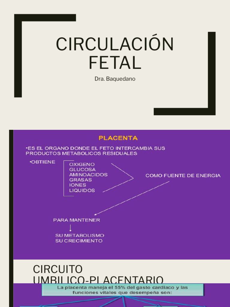 2 Circulacion Fetal | PDF | Religión y espiritualidad