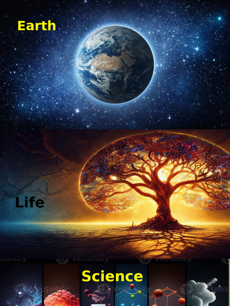 Presentation 1 Pdf Sexual Reproduction Reproduction