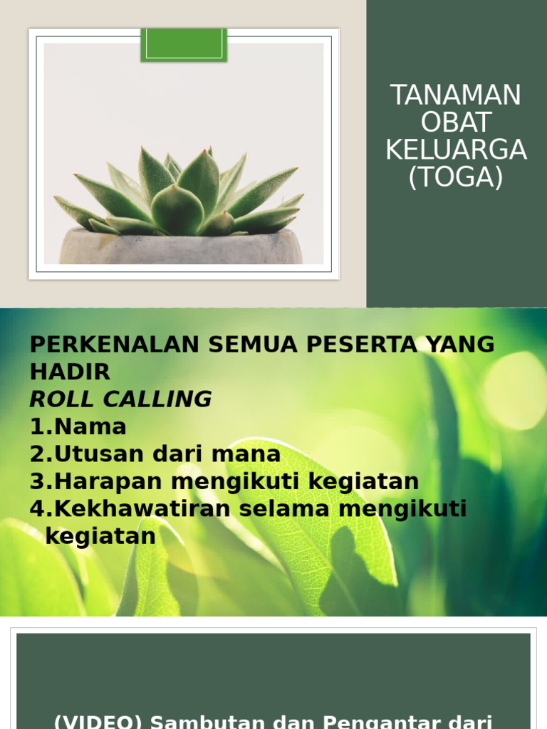 Tanaman Obat Keluarga (Toga) | PDF