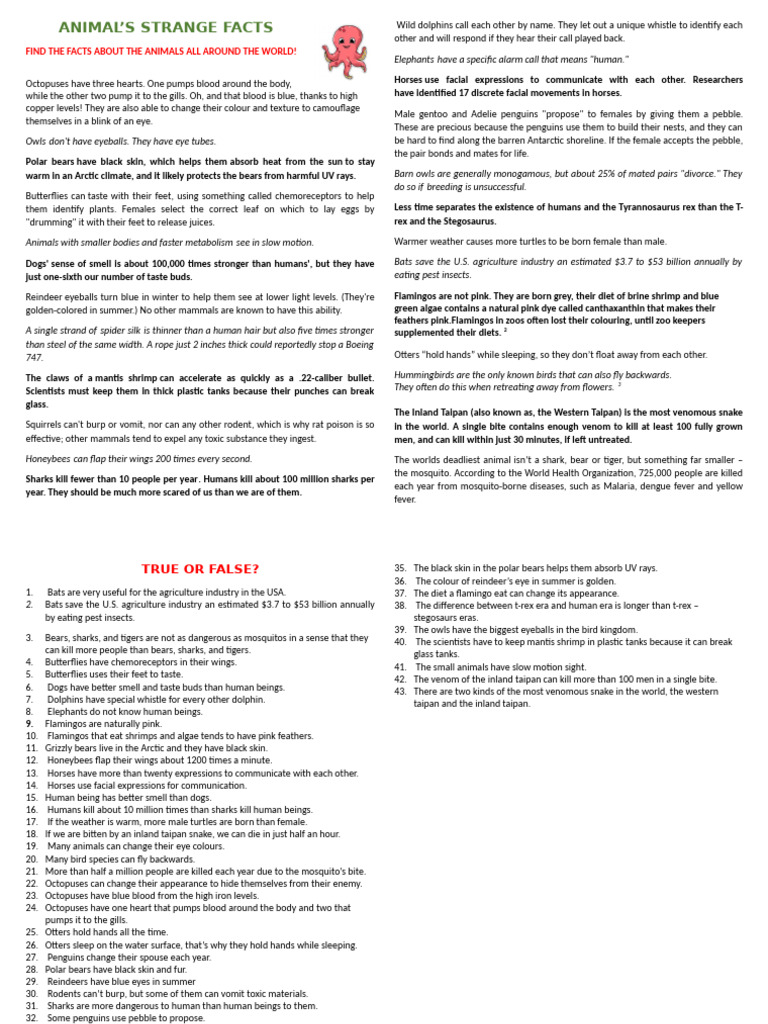 ANIMAL | PDF | Crocodile | Octopus