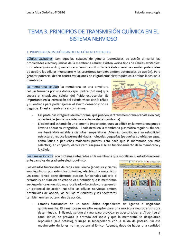 Tema 3 | PDF | Sinapsis | Potencial de acción