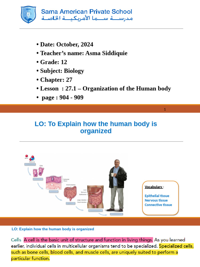 L - 27.1 Organization of The Human Body | PDF | Glucose | Homeostasis