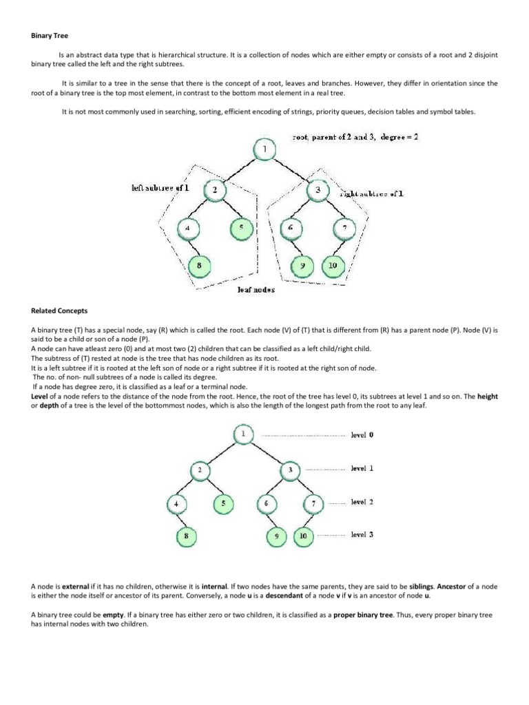 A Comprehensive Overview of Binary Trees: Their Structure, Properties, Traversals ...