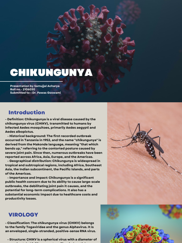 Chikungunya Virus: Overview and Impact | PDF | Virus | Virology