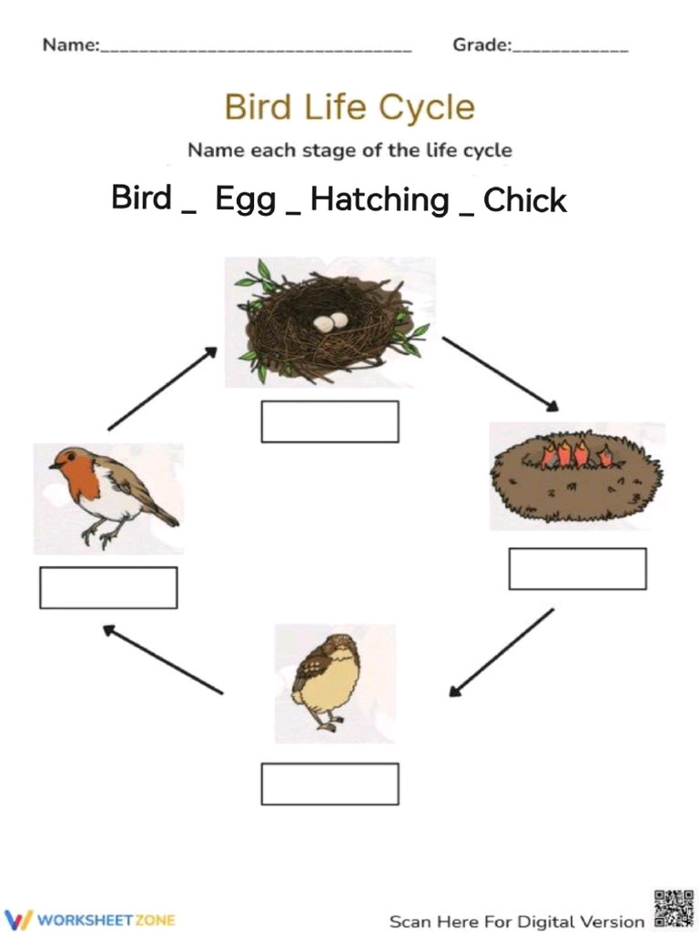 Weekly Science Sheet | PDF