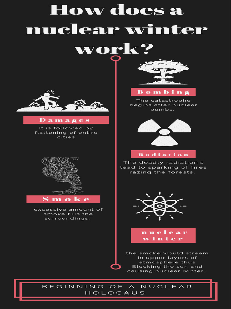 Understanding Nuclear Winter Effects | PDF