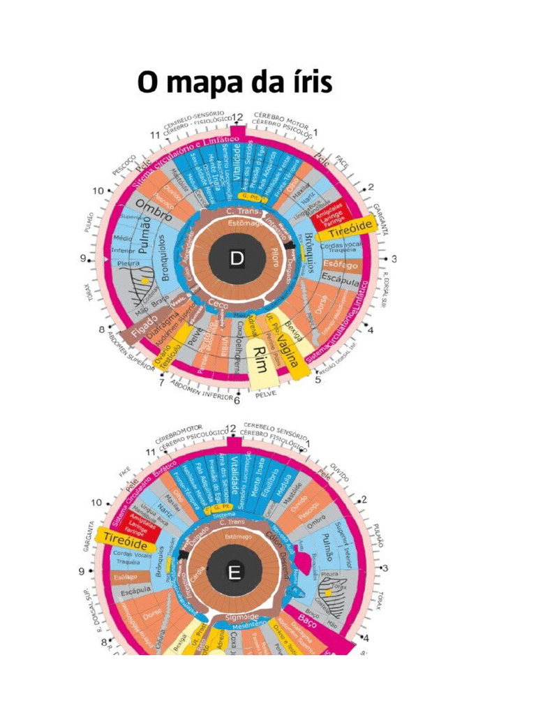 Iris Mapa | PDF